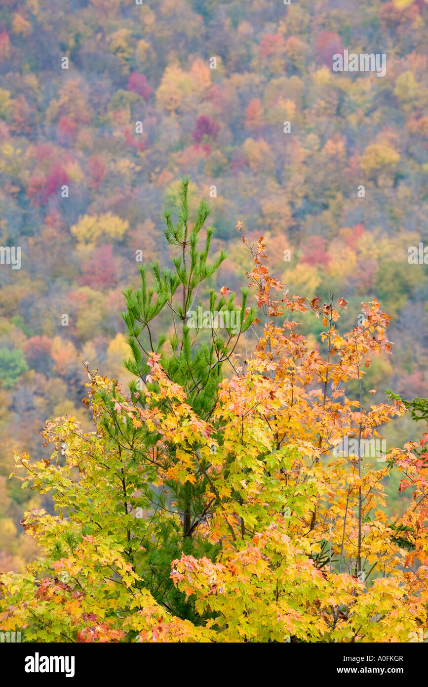 lake groton from owl s head mountain in the white mountains Stock Photo ...