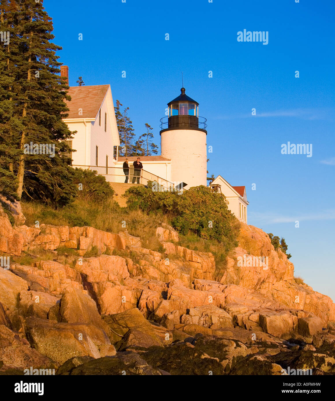 bass harbour head lighthouse in acadia national park maine Stock Photo ...