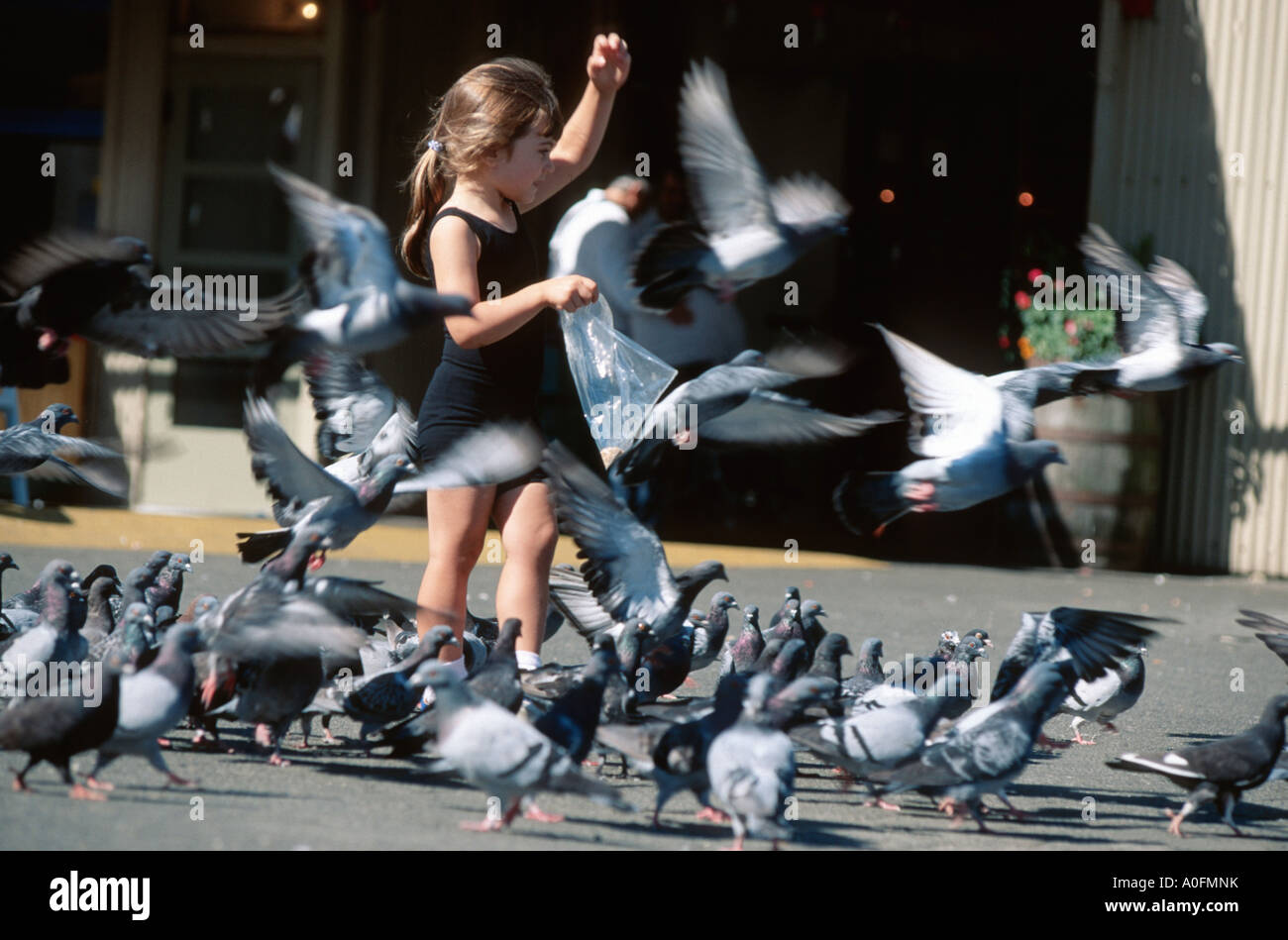 Girl with doves hi-res stock photography and images - Alamy