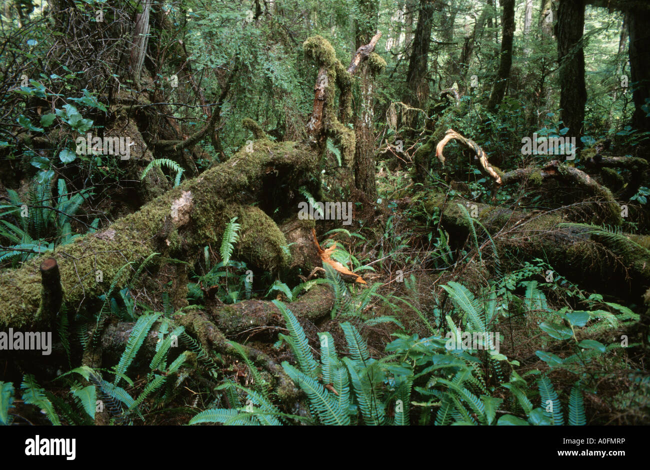 Generations of native canadian hi-res stock photography and images - Alamy