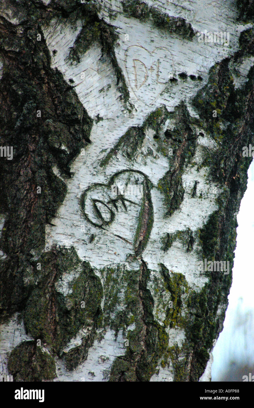 Lovers initials carved in a tree near Portland Oregon USA Stock Photo ...