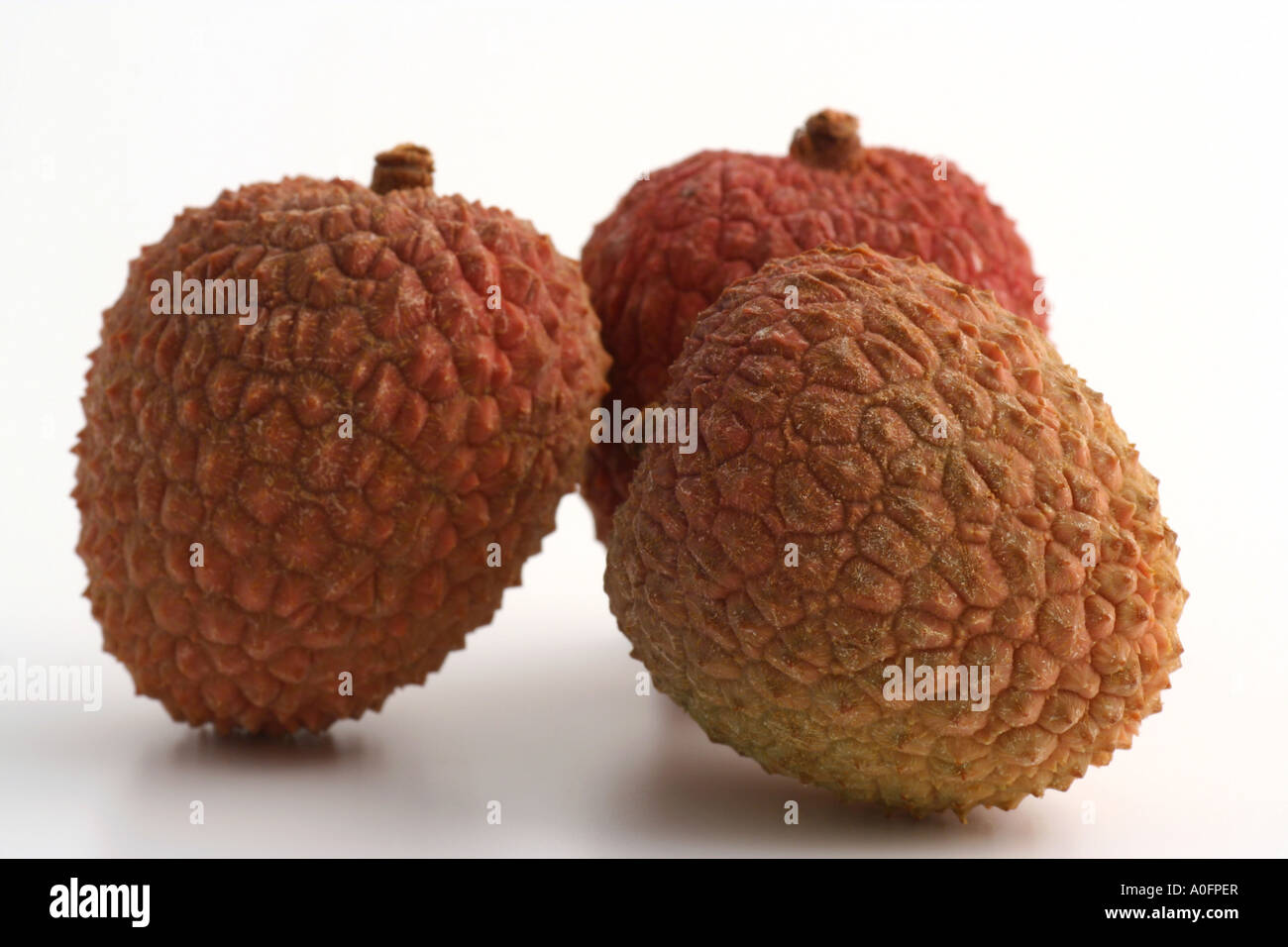 Three lychees (litchi chinensis Stock Photo - Alamy