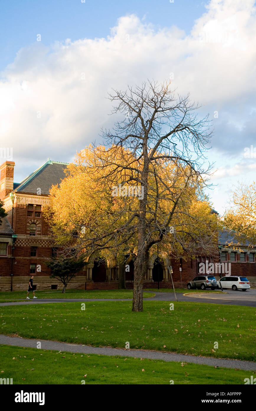 harvard in cambridge Stock Photo - Alamy