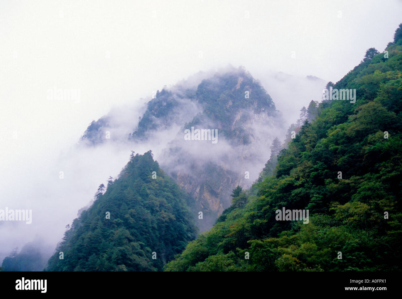 Wolong nature reserve landscape hi-res stock photography and images - Alamy