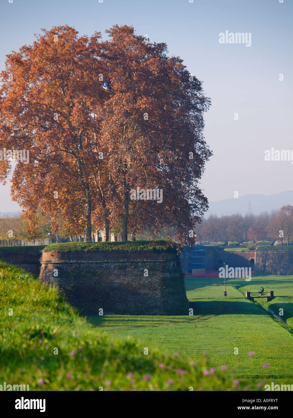the Tuscan city of Lucca is surrounded by huge brick city walls that ...