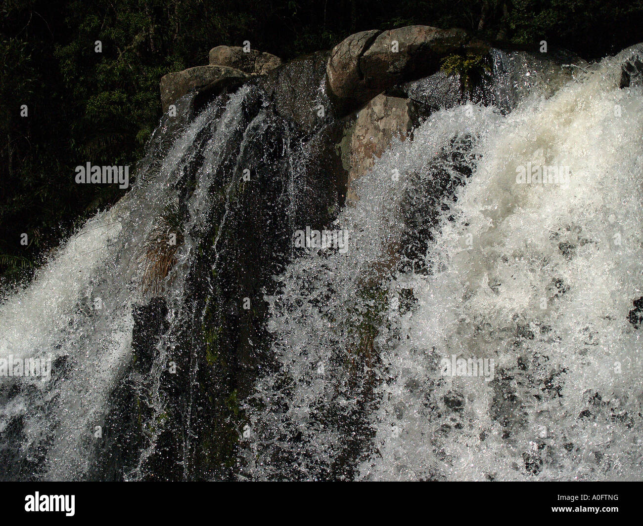 The snobs hi-res stock photography and images - Alamy