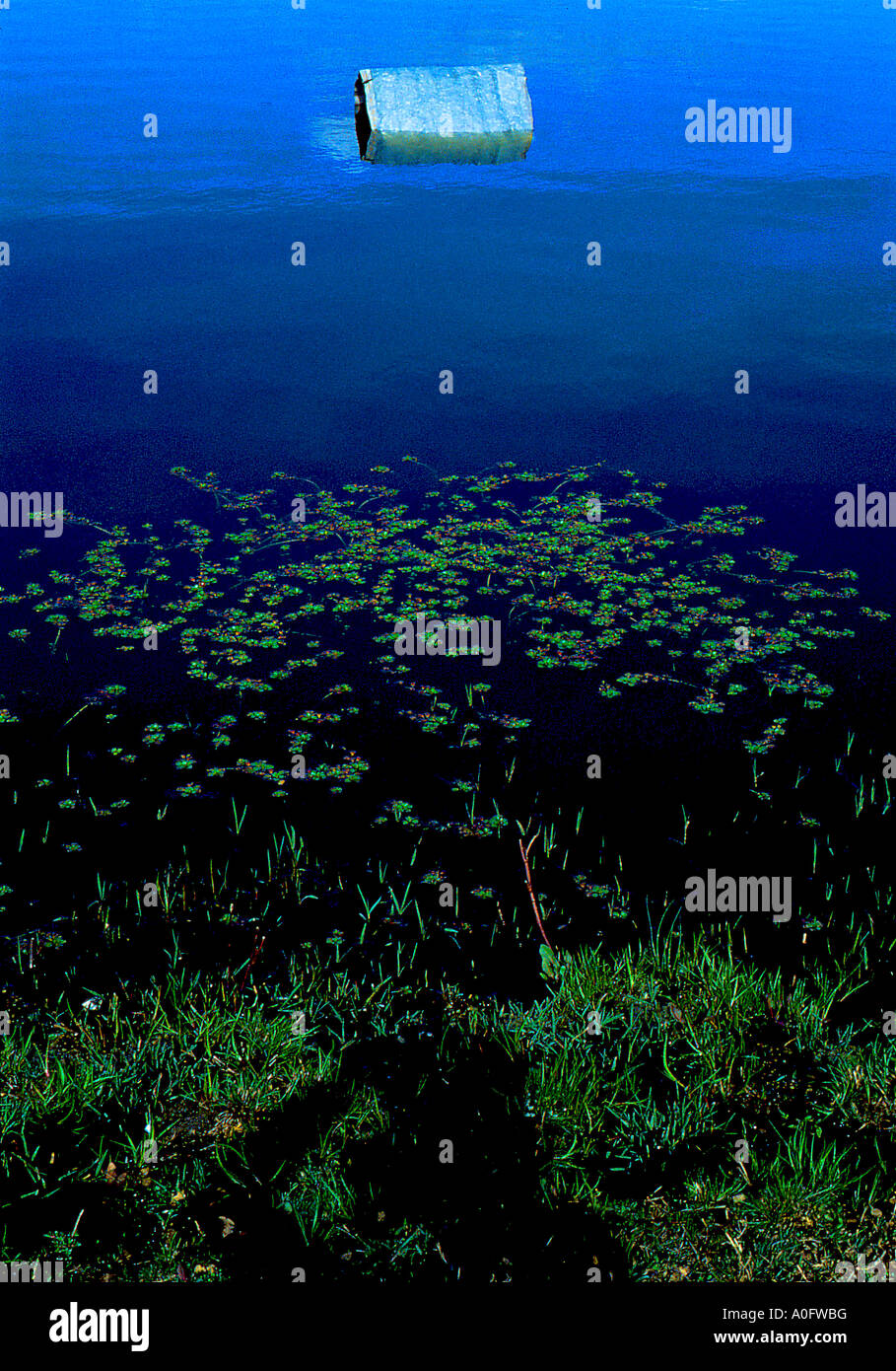 Steel tank in water Stock Photo - Alamy