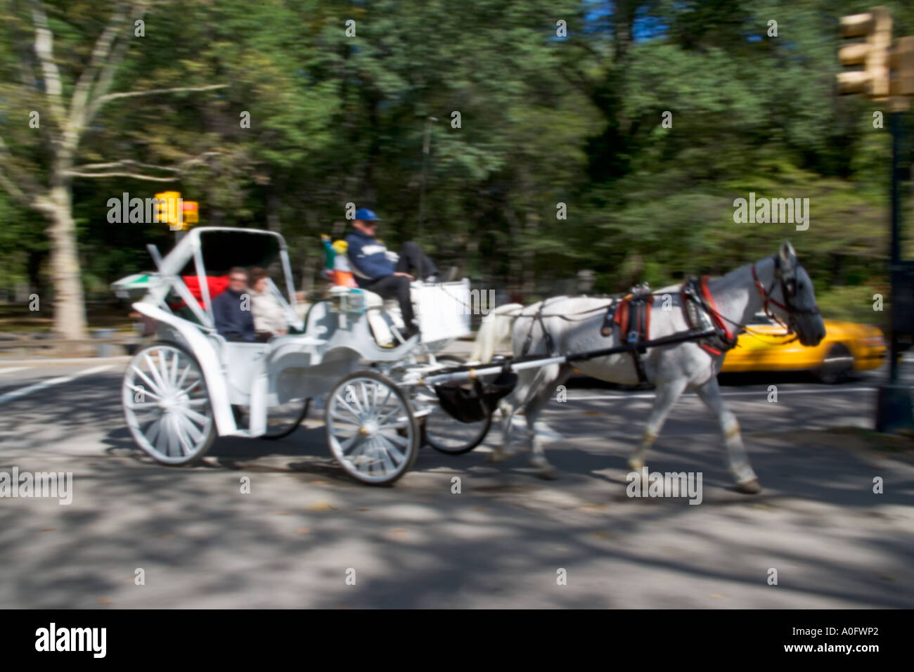 CENTRAL PARK, NEW YORK CITY, CARRIAGE RIDE Stock Photo - Alamy
