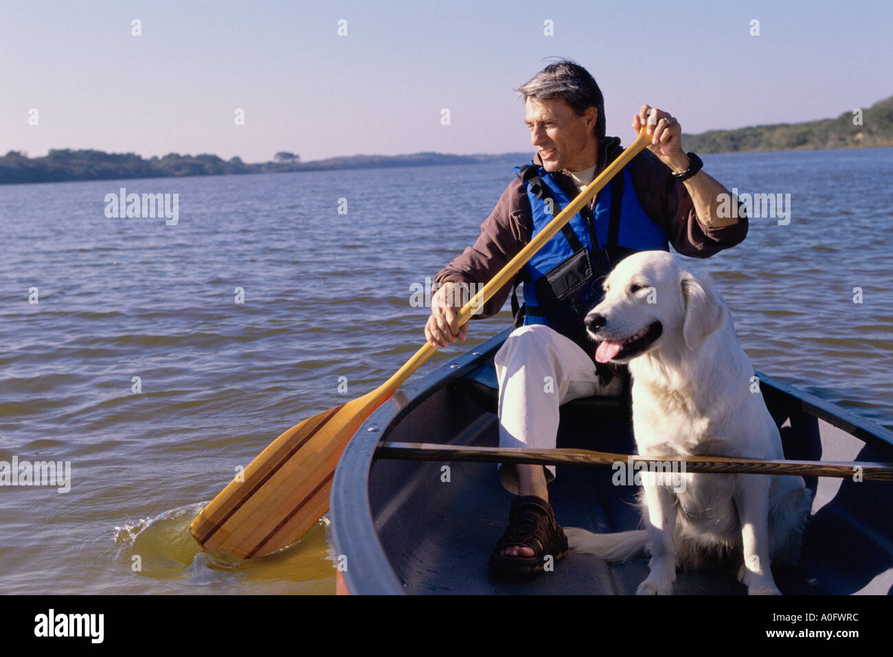 Dog rowing boat hi-res stock photography and images - Alamy