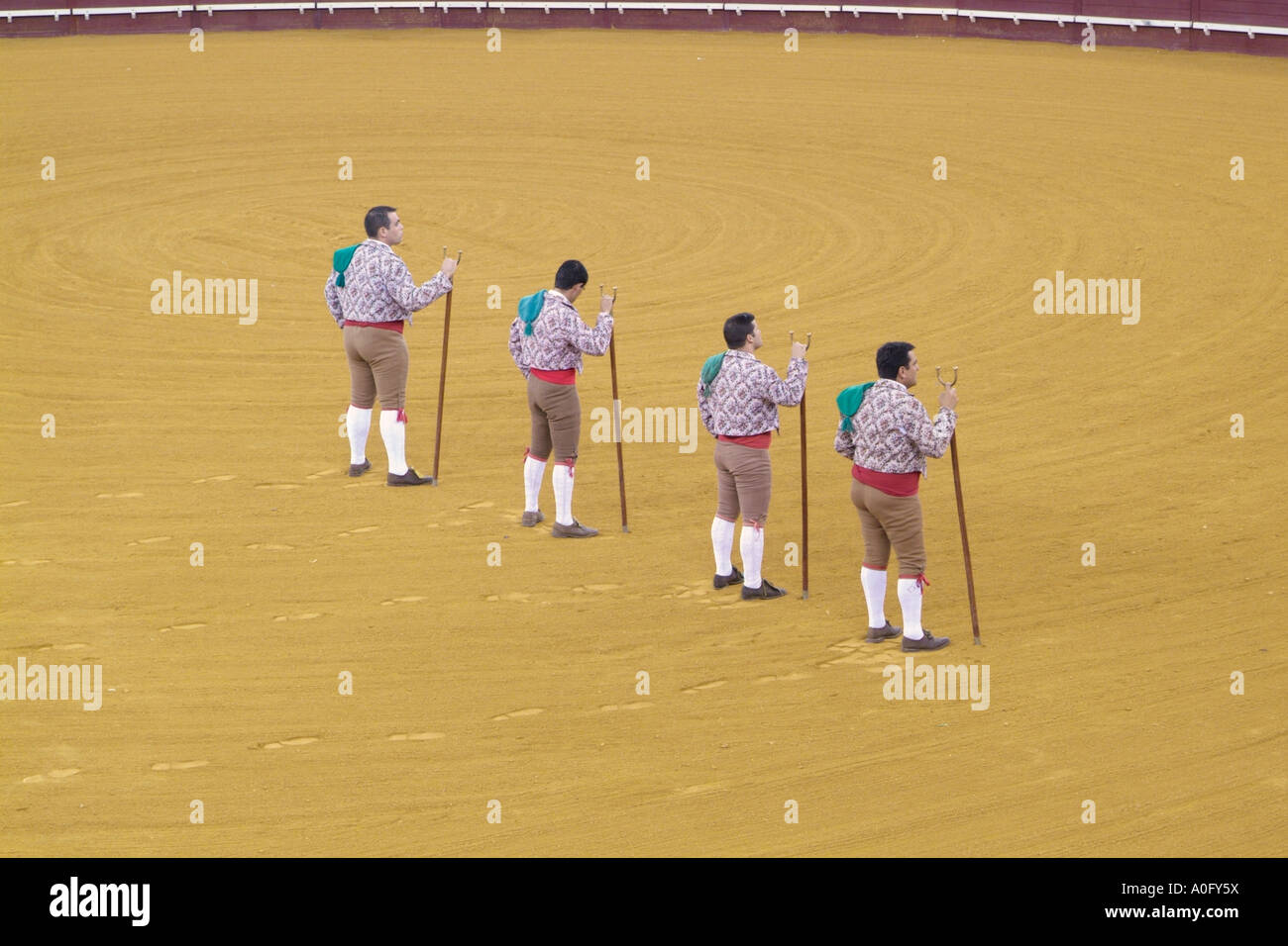 Forcados in a portuguese bullfight Stock Photo - Alamy