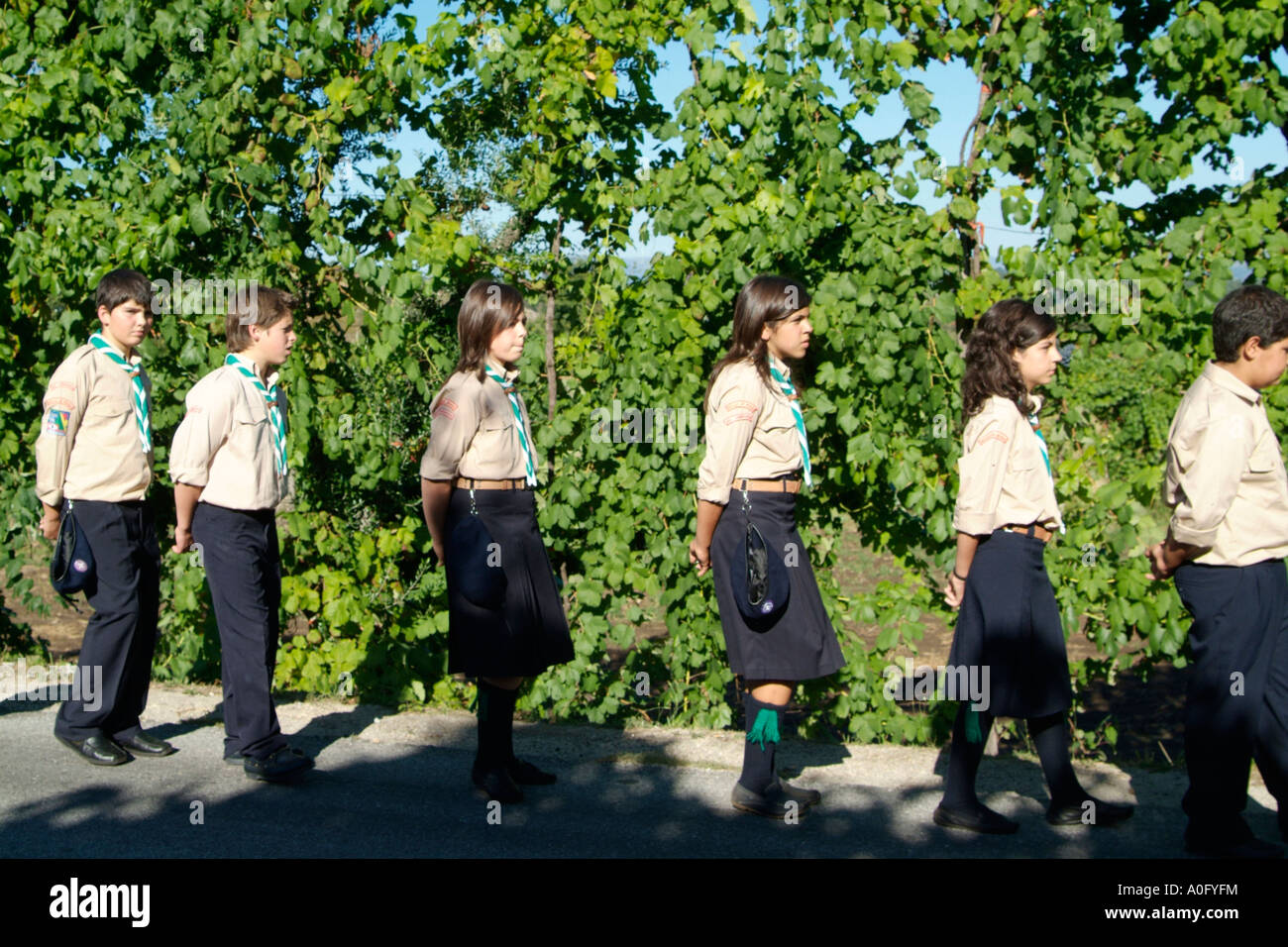 Group of portuguese scouts in a religious procession Stock Photo - Alamy