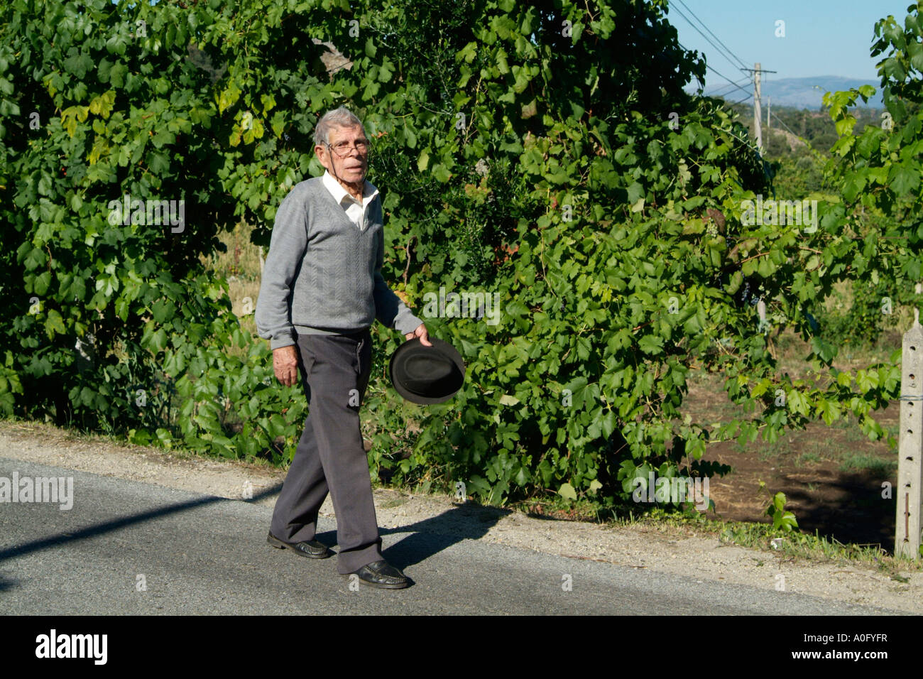 Old man walking alone on the road Stock Photo - Alamy