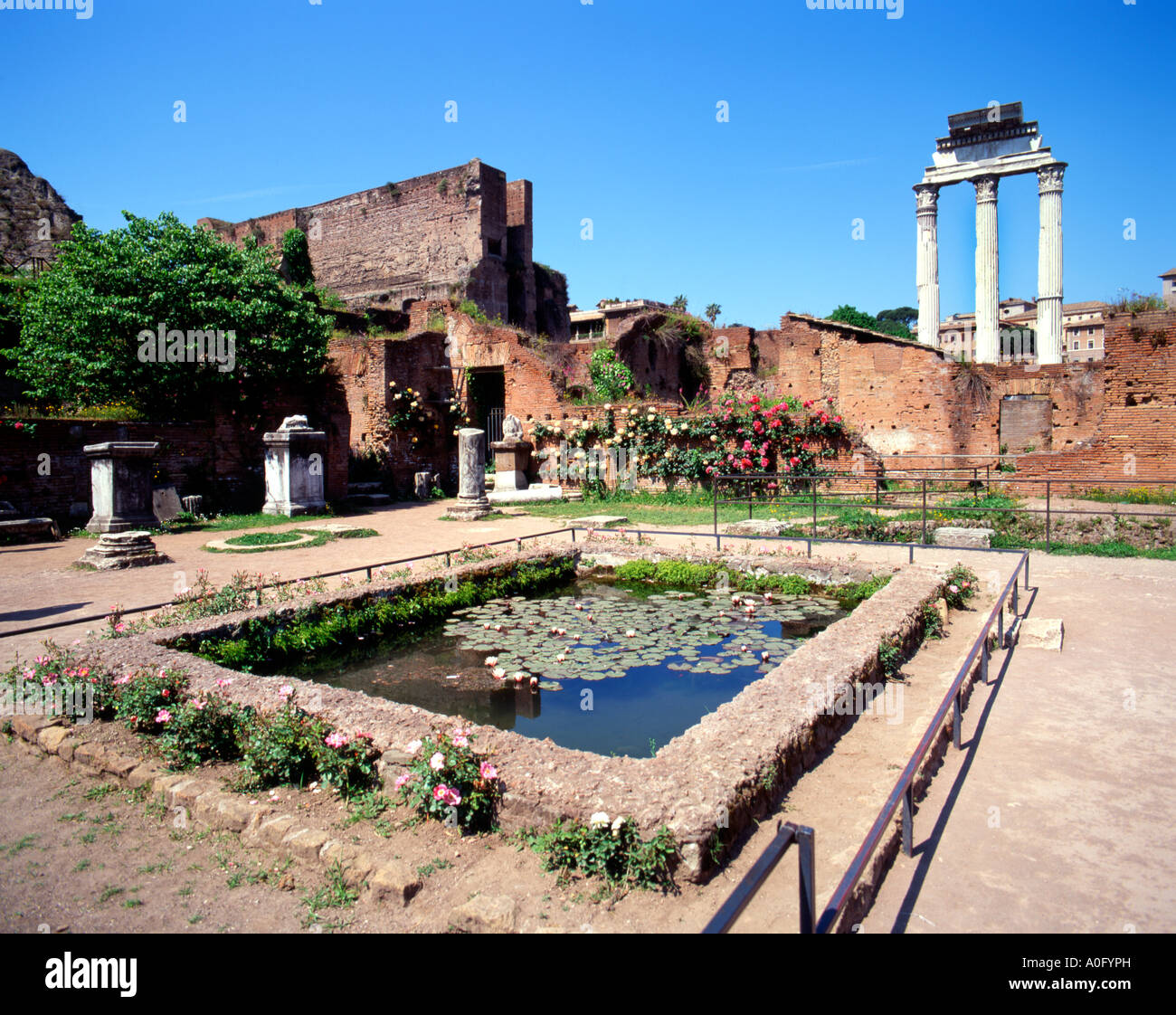 Ornamental pond situated in the Roman forum in Rome Italy Stock Photo ...