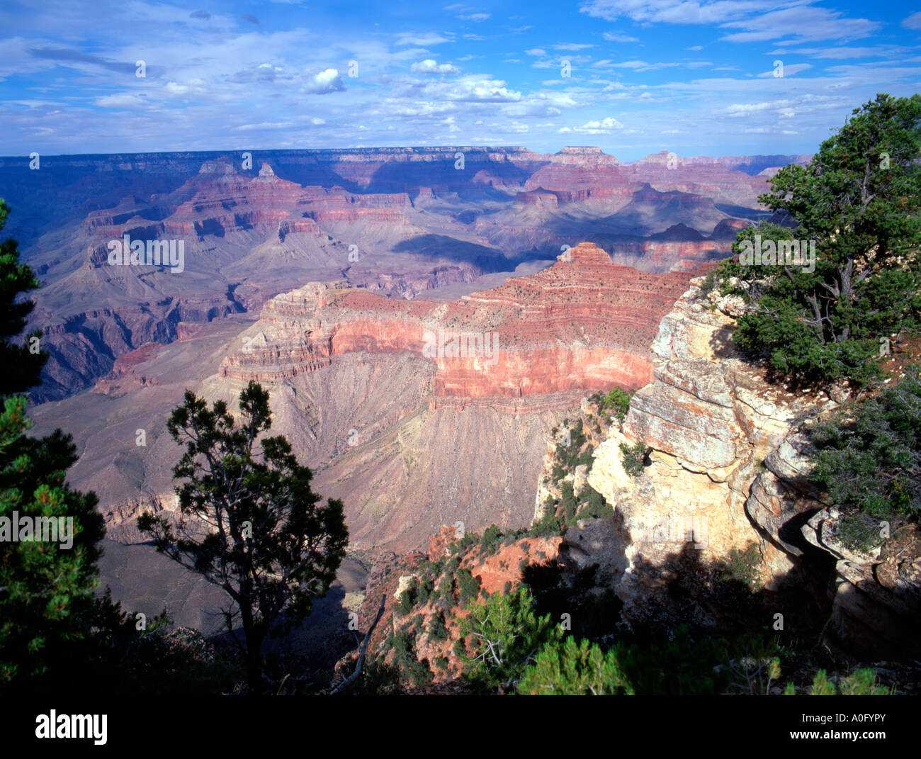 The Grand Canyon, USA Stock Photo - Alamy