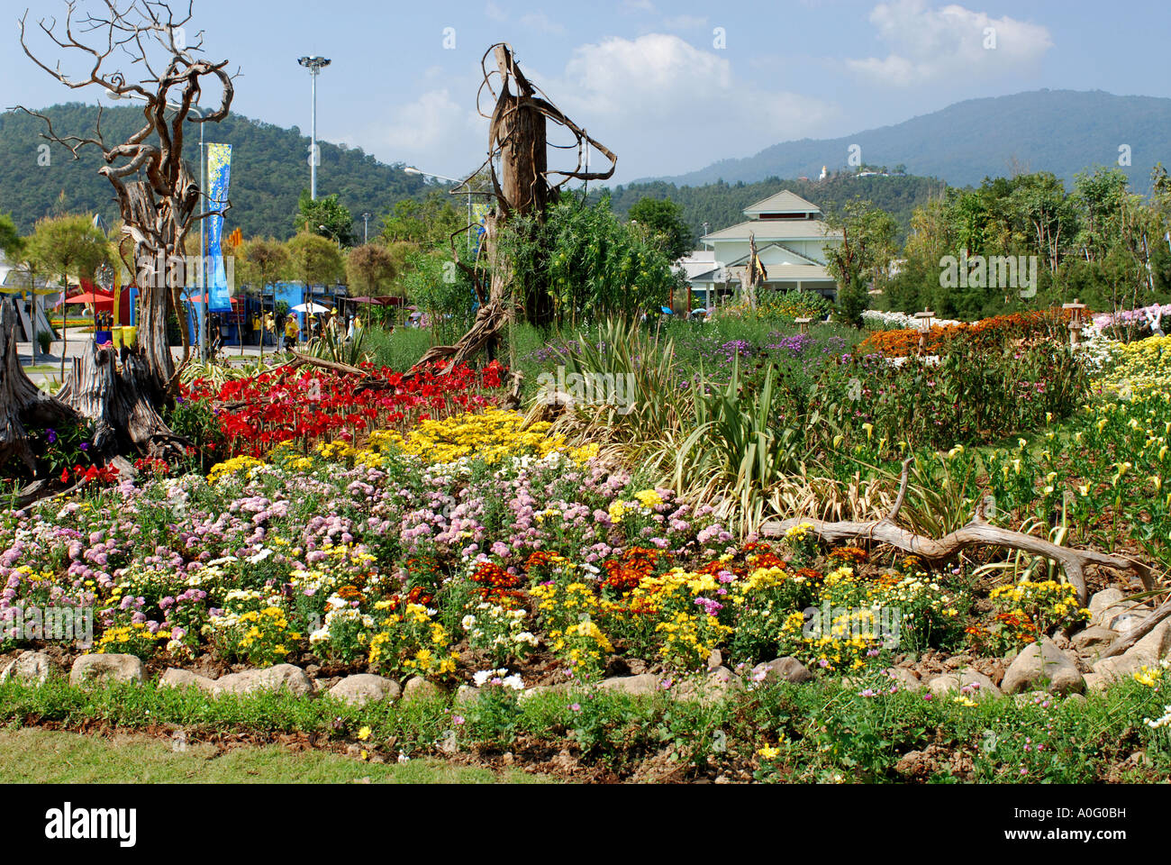 Royal Flora Show Ratchaphruek Park Chiang Mai in the north of Thailand ...