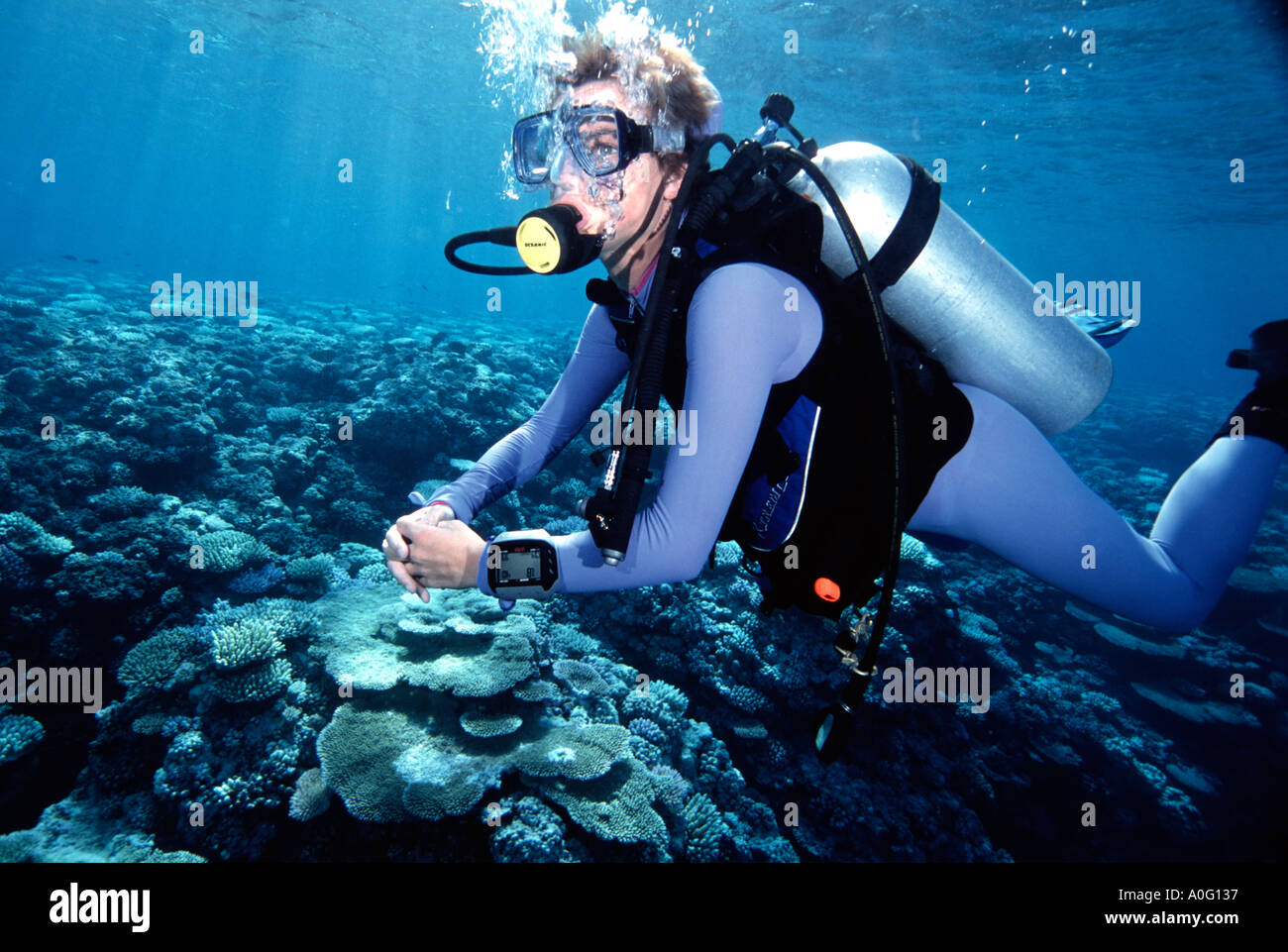 Australia scuba diving woman diver hi-res stock photography and images ...