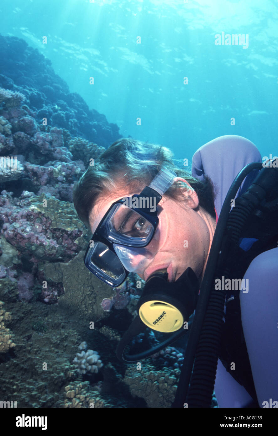 Australia scuba diving woman diver hi-res stock photography and images ...