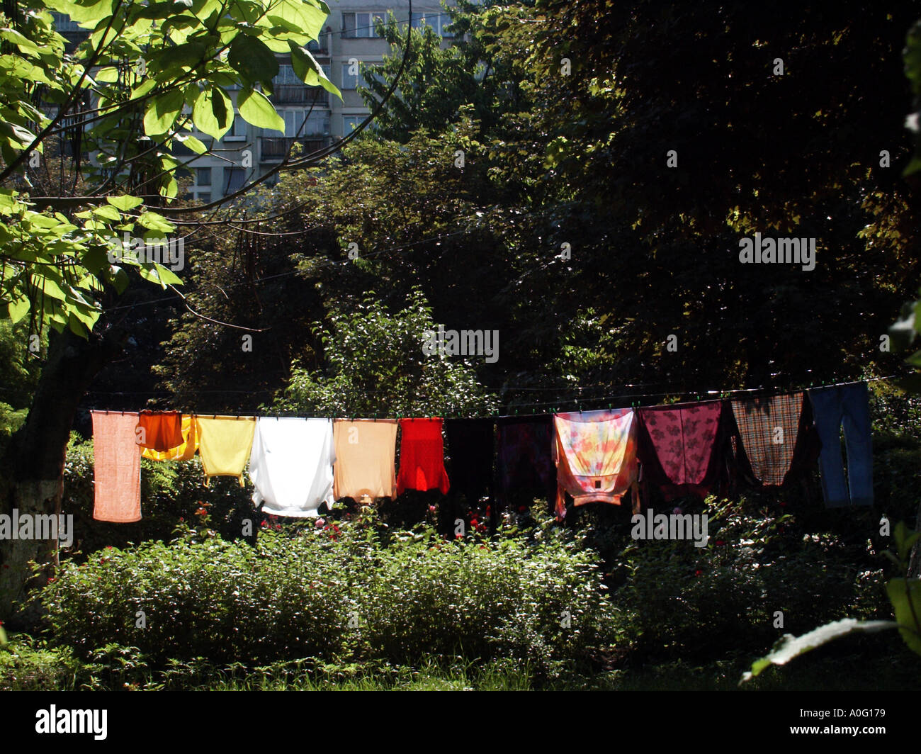 Rope worm hi-res stock photography and images - Alamy