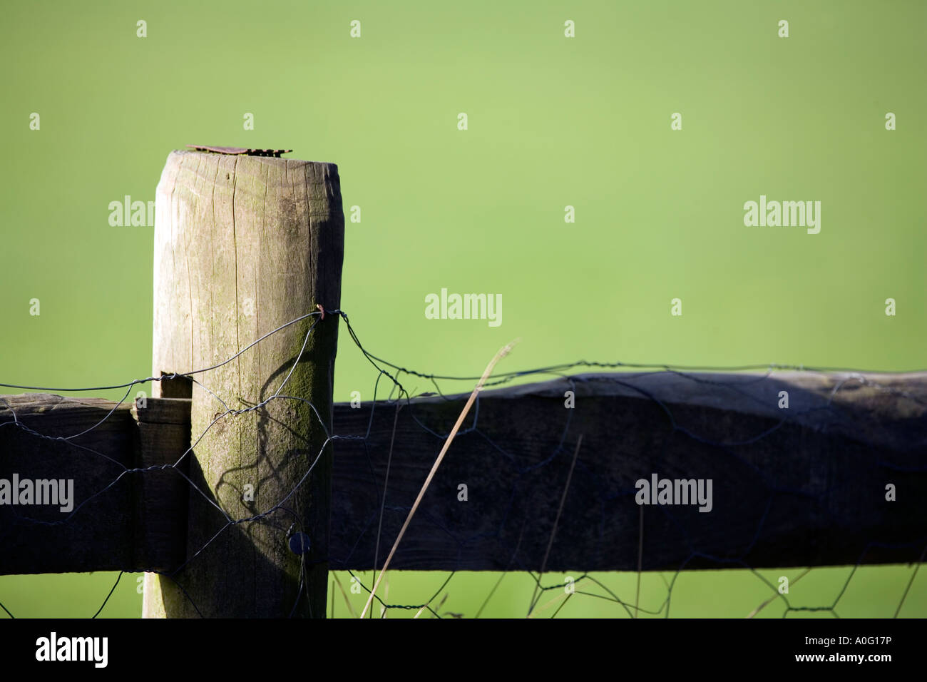 Fence post and wire netting Fence post and wire netting farming ...