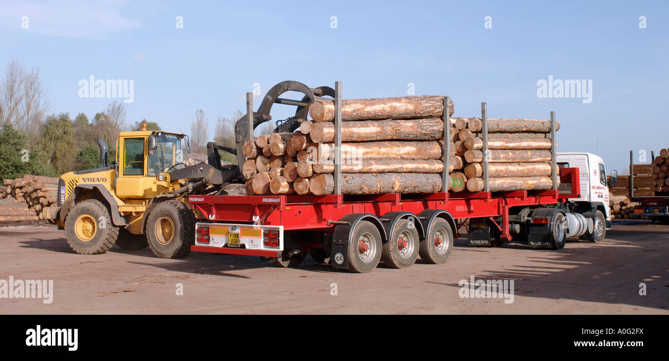 volvo handler loading a logging lorry with timber in a wood yard in the ...