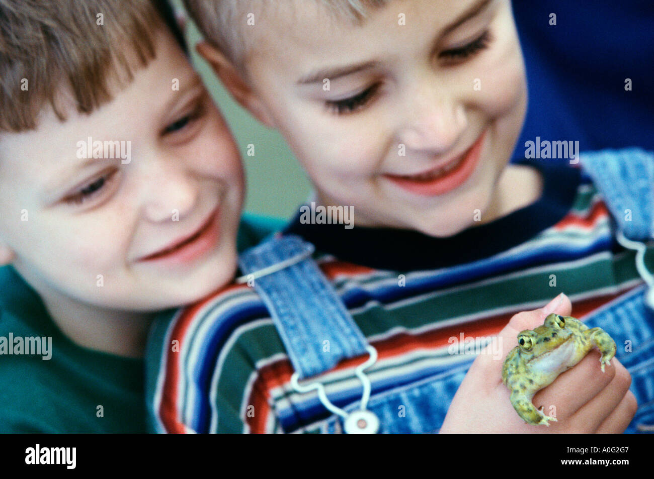 Close-up of a boy standing with his friend holding a frog Stock Photo ...
