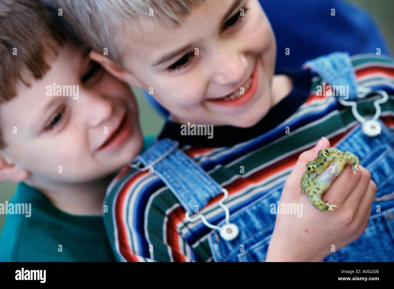 Close-up of a boy standing with his friend holding a frog Stock Photo ...