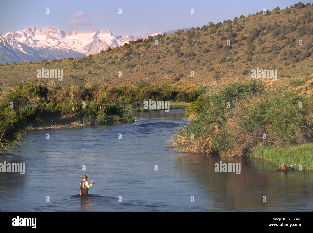 East walker river hi-res stock photography and images - Alamy
