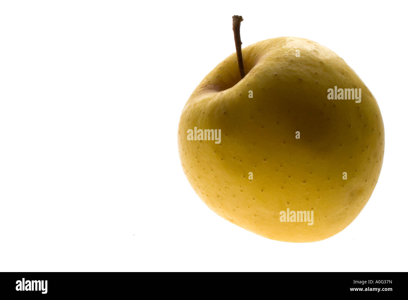 golden apple on white background Stock Photo - Alamy