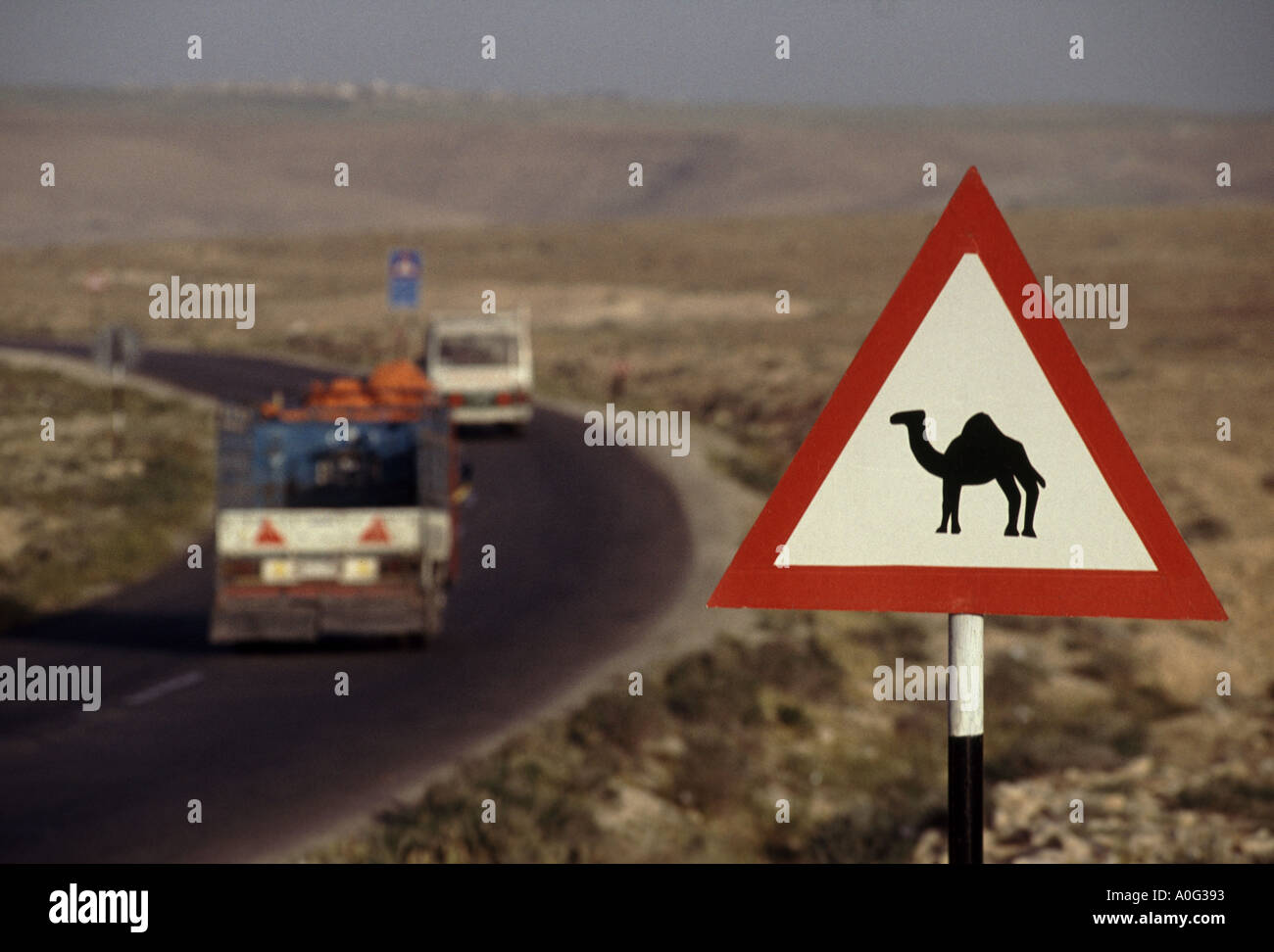 Camel crossing sign along Kings Highway in Jordan Stock Photo - Alamy