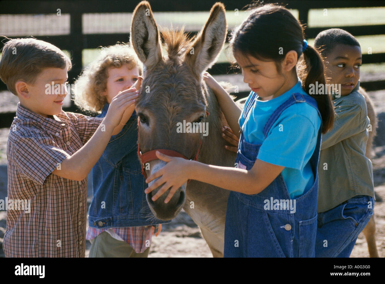 Group of children standing with a donkey Stock Photo - Alamy