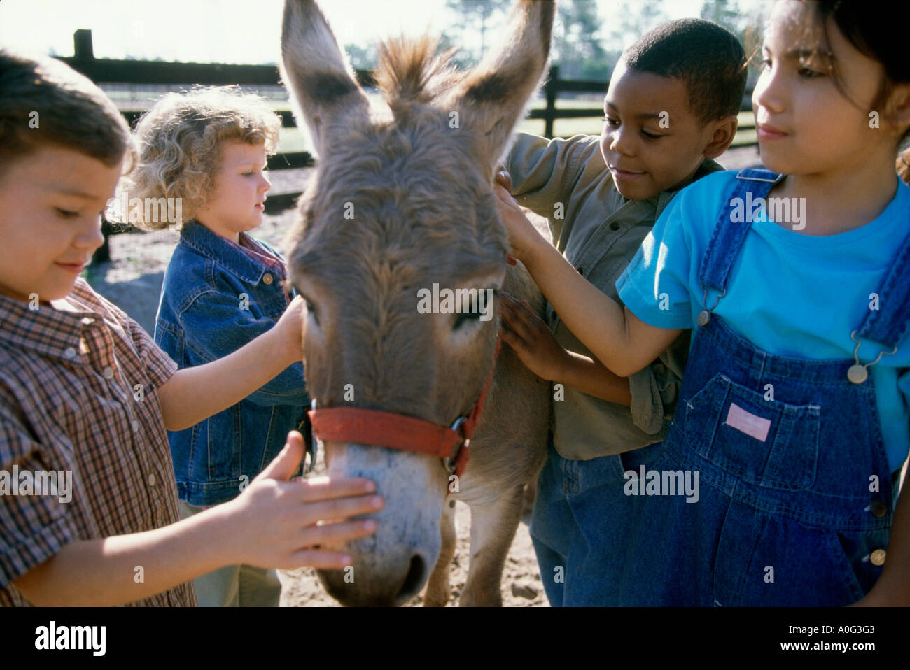 Group of children standing with a donkey Stock Photo - Alamy