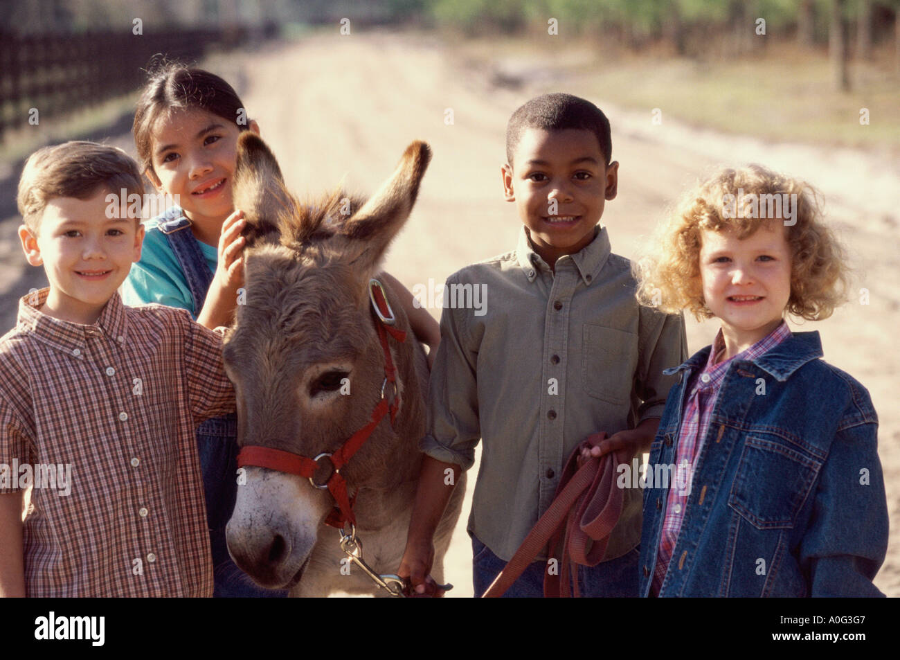 Portrait of a group of children standing with a donkey Stock Photo - Alamy