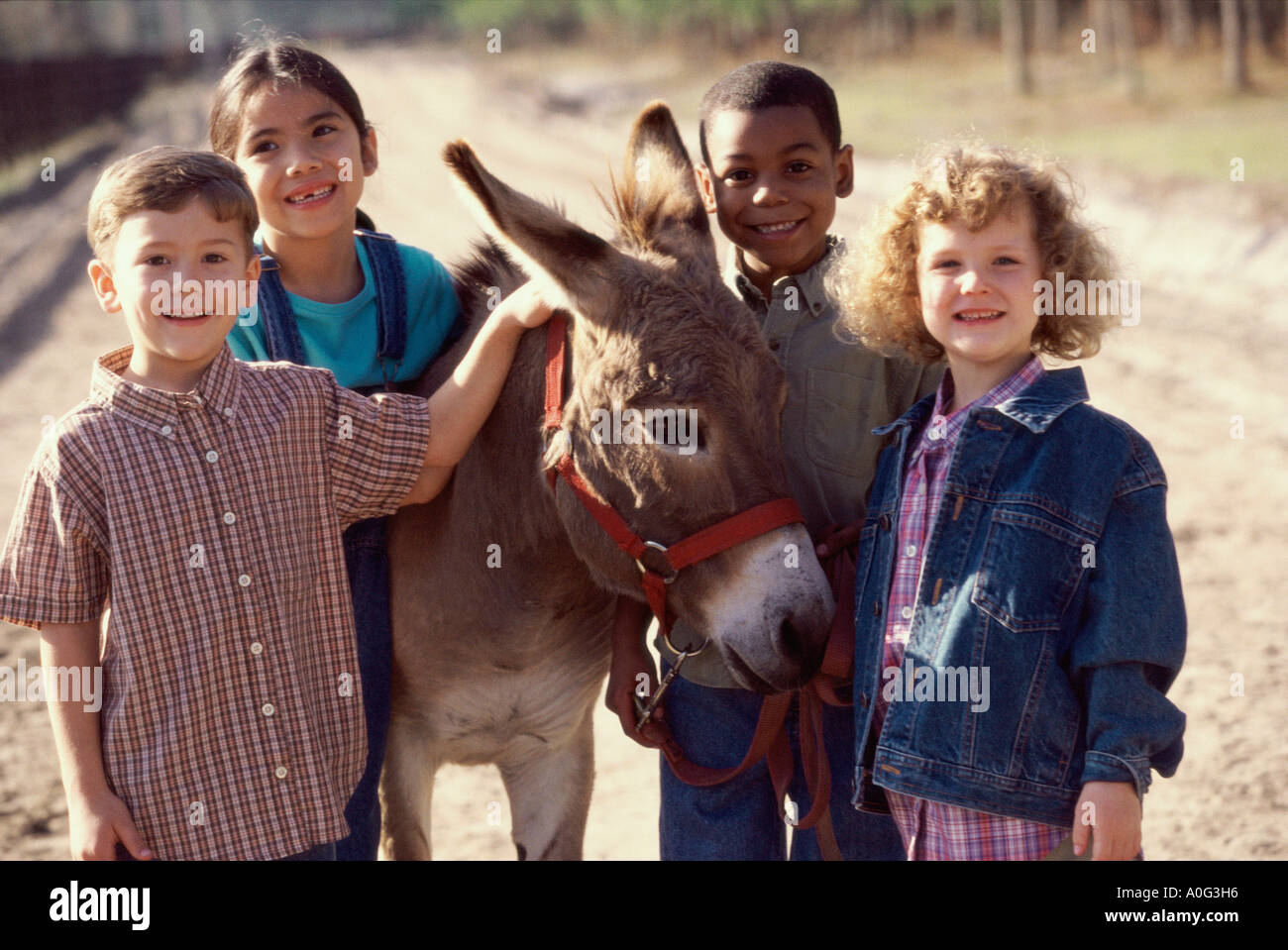 Portrait of a group of children standing with a donkey Stock Photo - Alamy