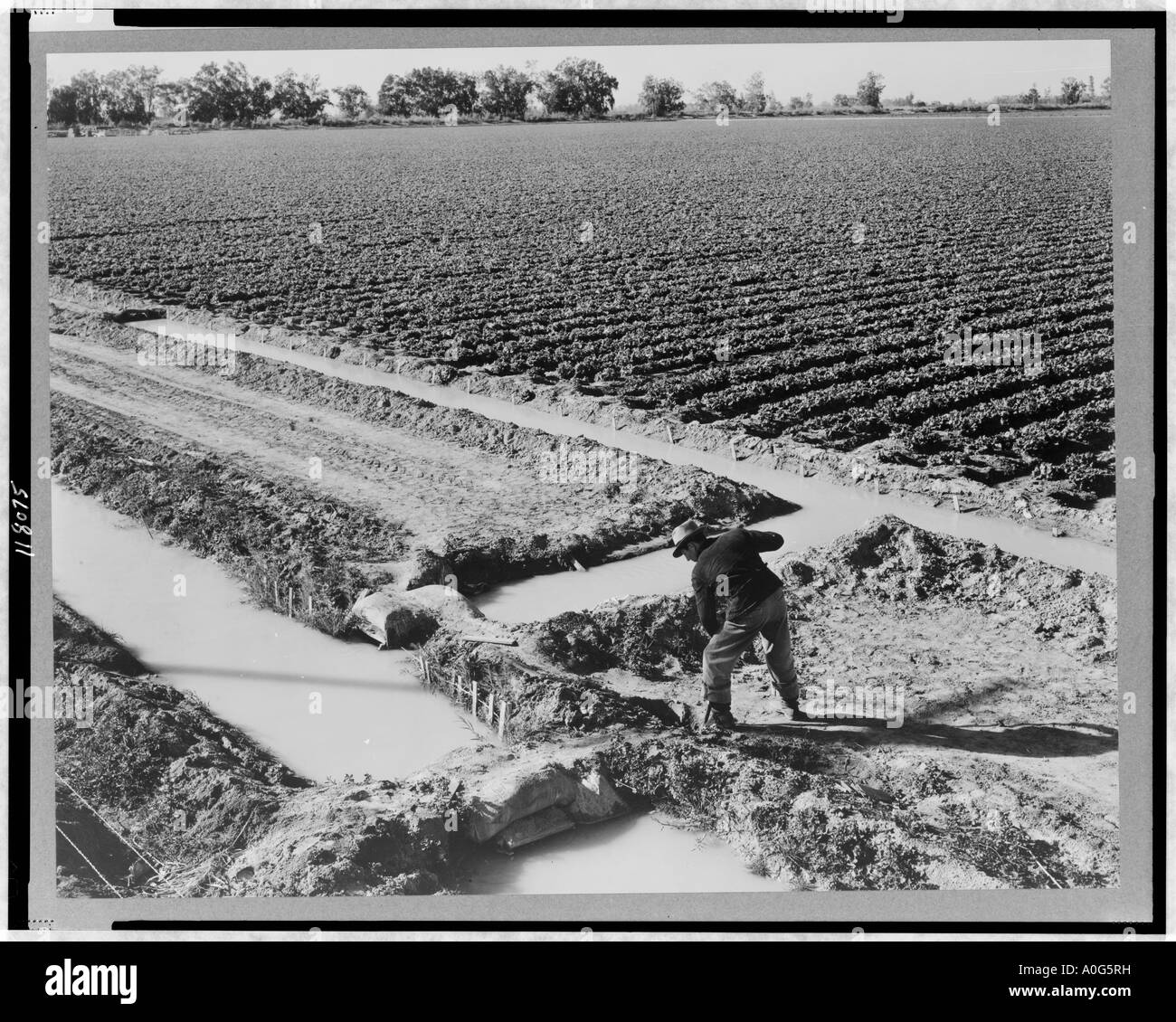 Row crop irrigation Black and White Stock Photos & Images - Alamy