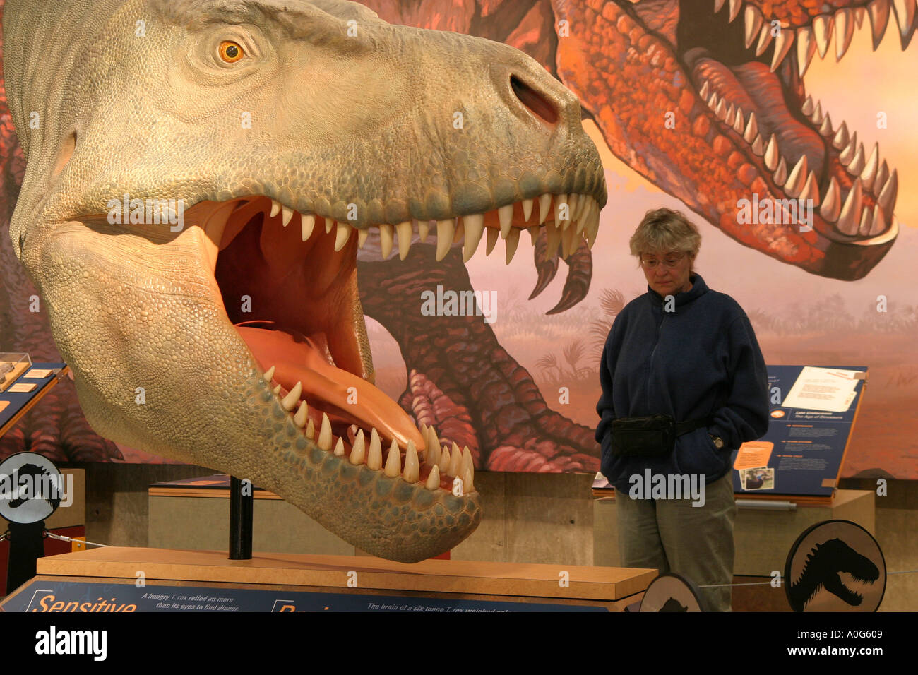 T Rex Center Eastend Saskatchewan Stock Photo - Alamy
