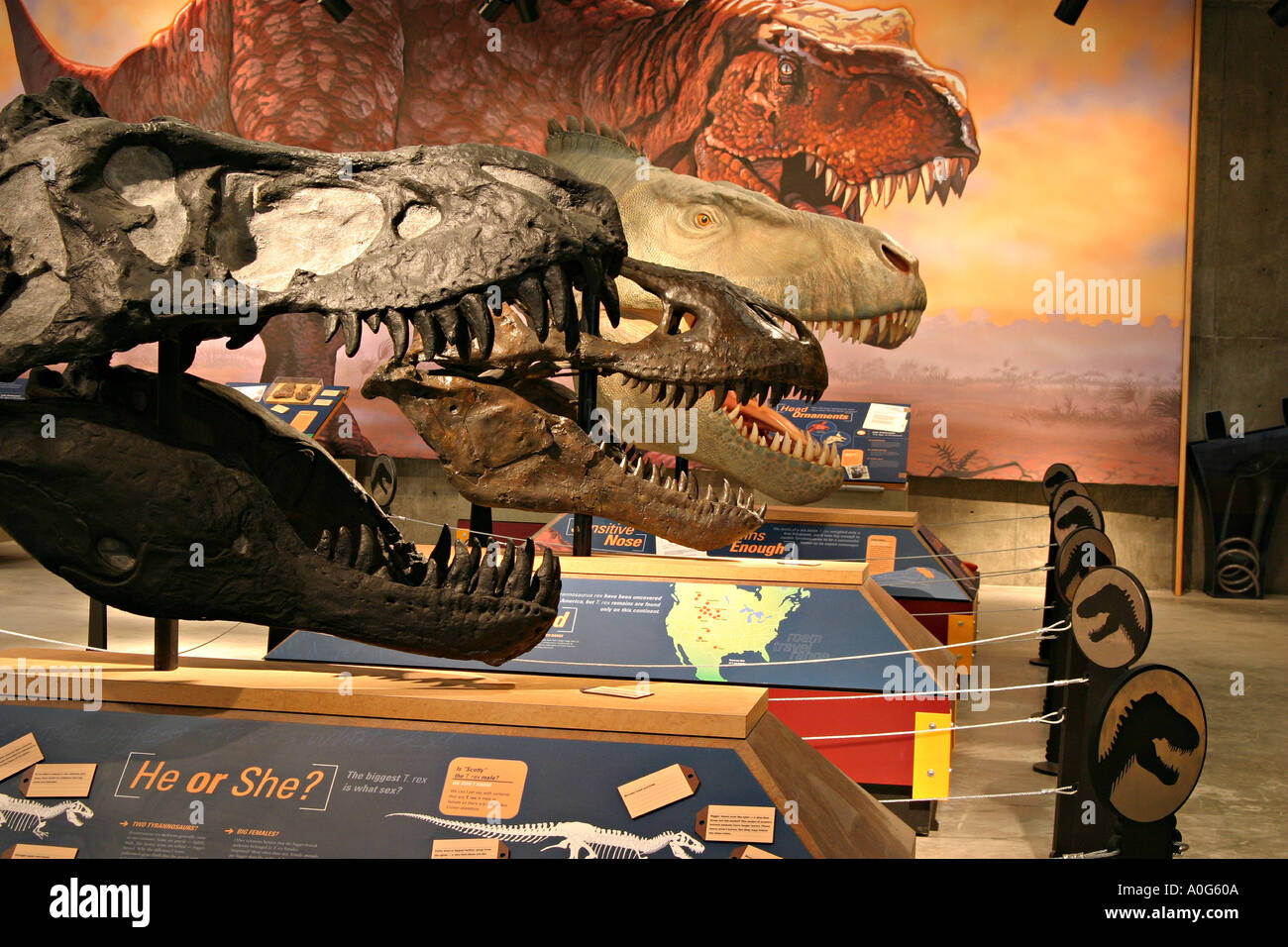 T Rex Center Eastend Saskatchewan Stock Photo - Alamy