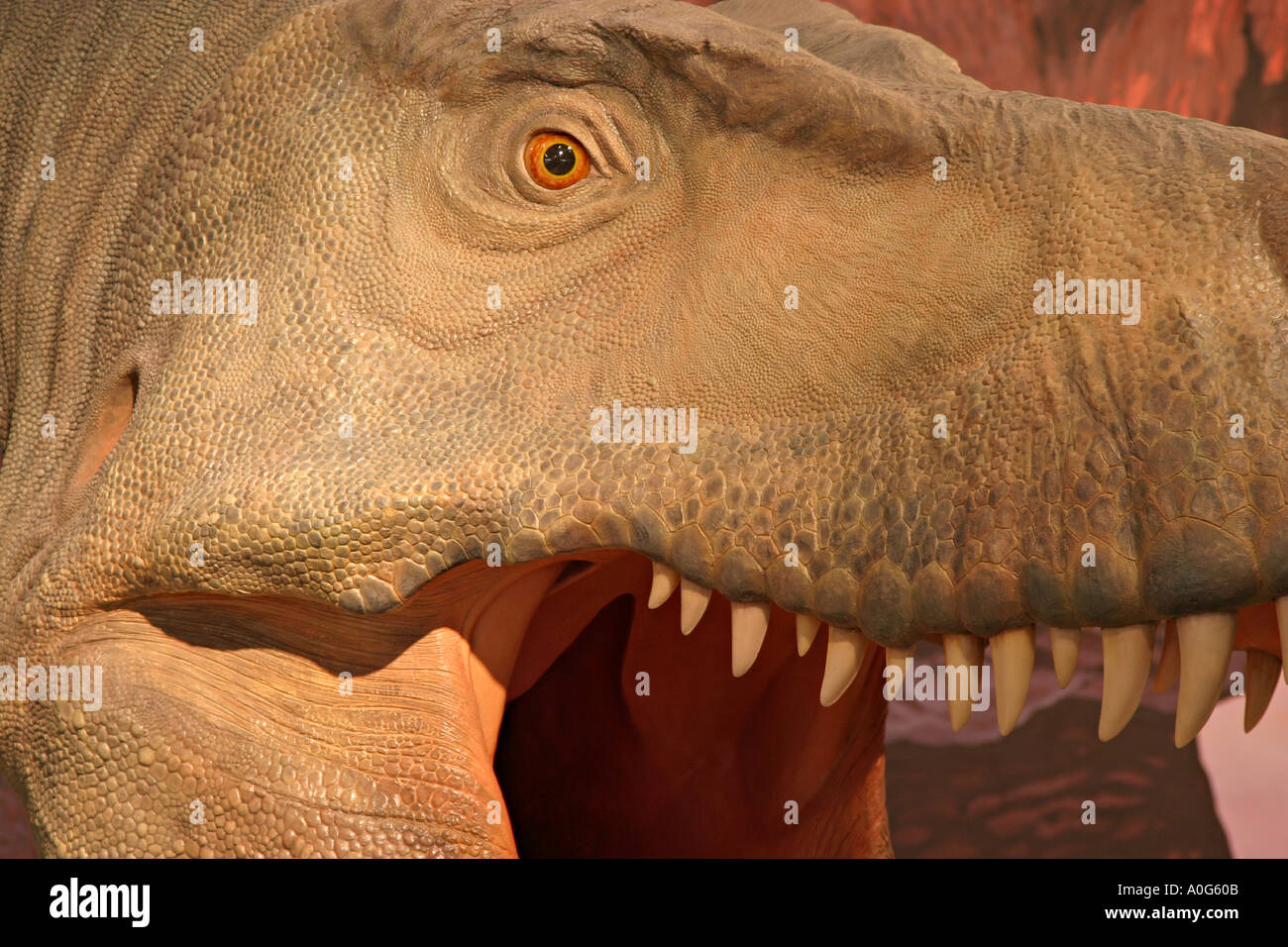 T Rex Center Eastend Saskatchewan Stock Photo - Alamy