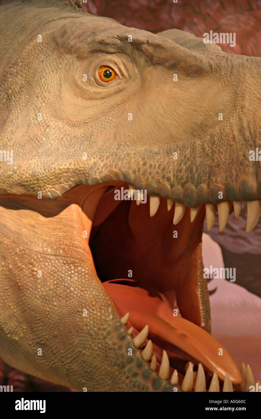 T Rex Center Eastend Saskatchewan Stock Photo - Alamy