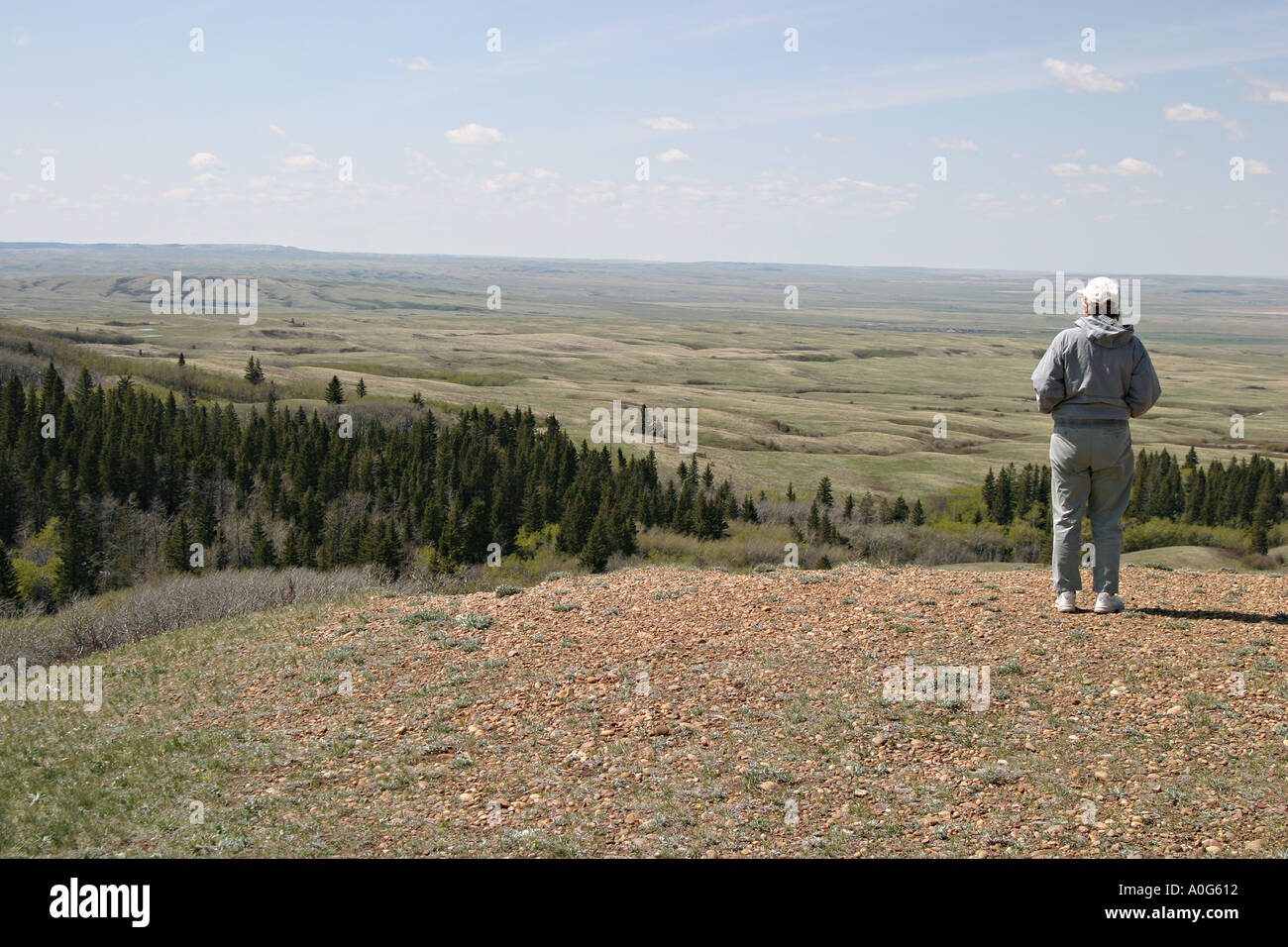 Cypress hills saskatchewan hi-res stock photography and images - Alamy
