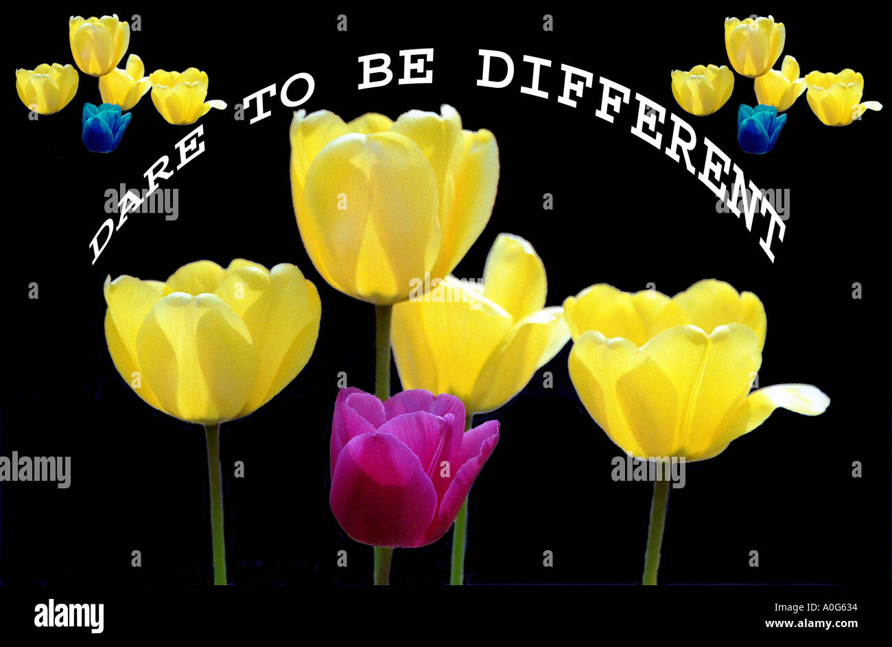 Dare to be Different Stock Photo - Alamy