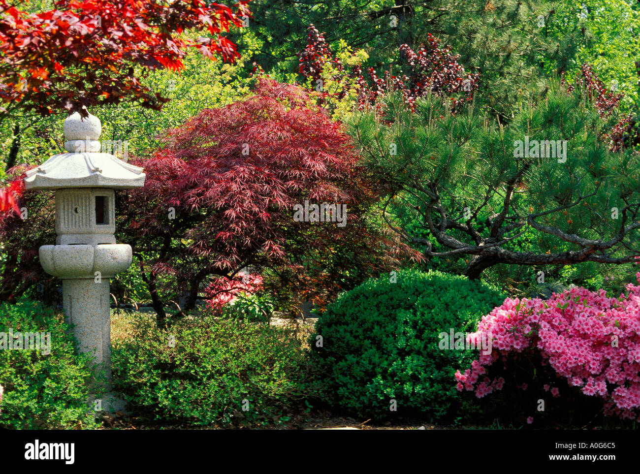 Missouri botanic gardens hi-res stock photography and images - Alamy