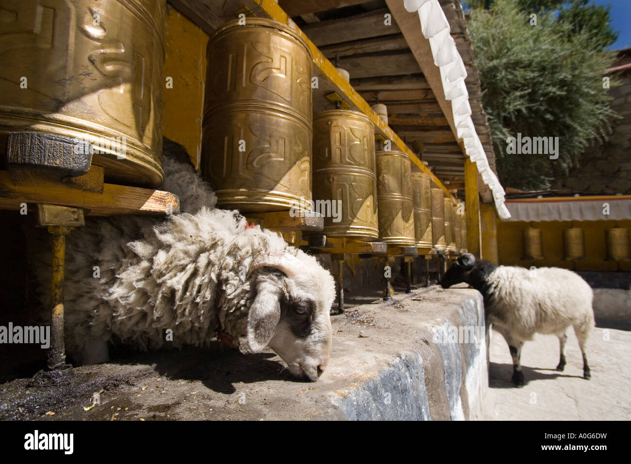 China tibet gyangze prayer hi-res stock photography and images - Alamy