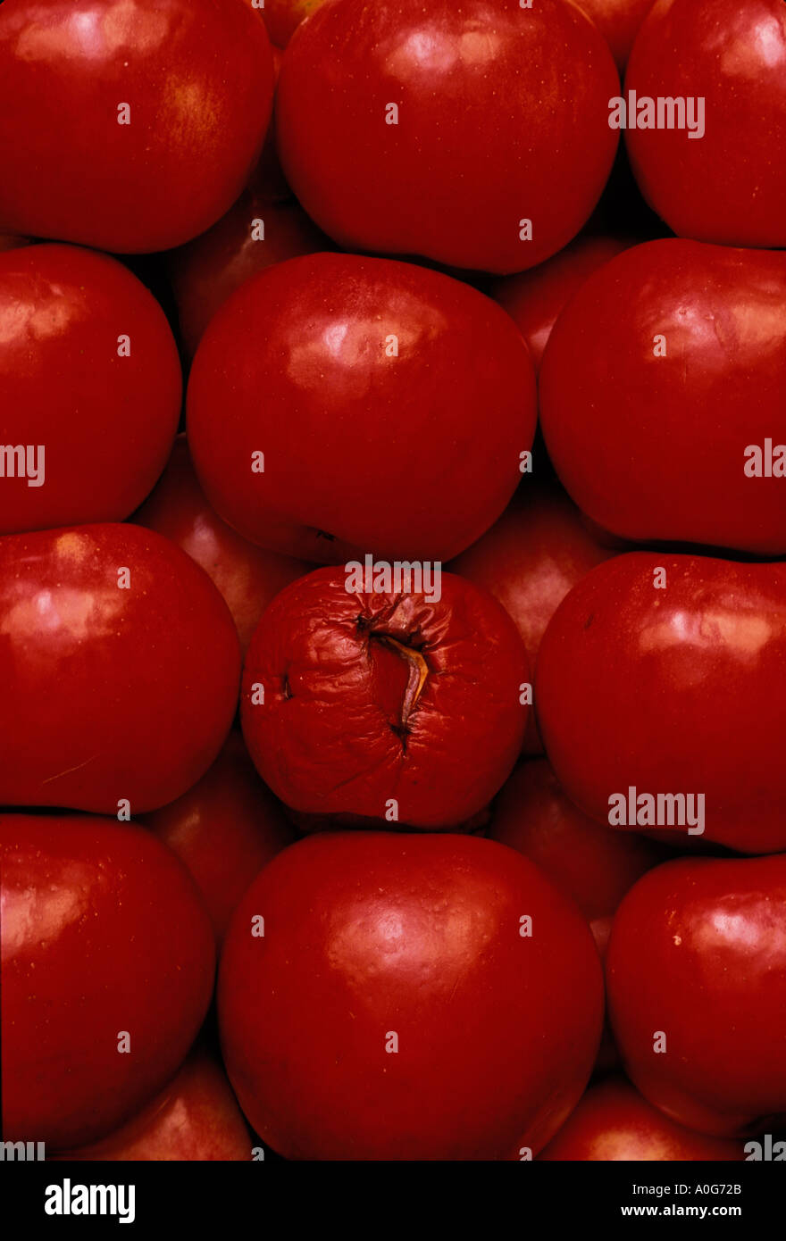 Jonathan apple hi-res stock photography and images - Alamy