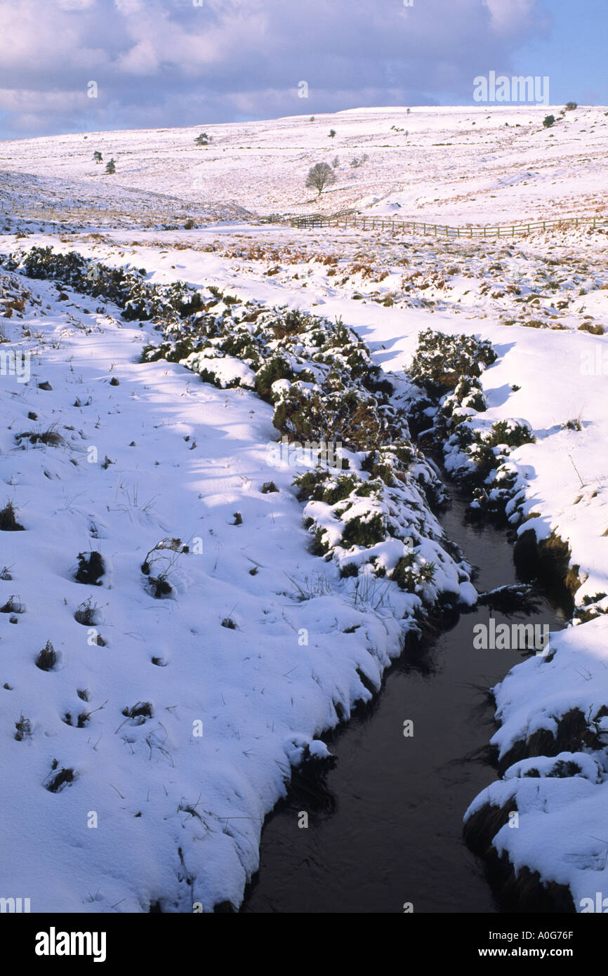 A small stream cutting its way between moors with surrounding grazing ...