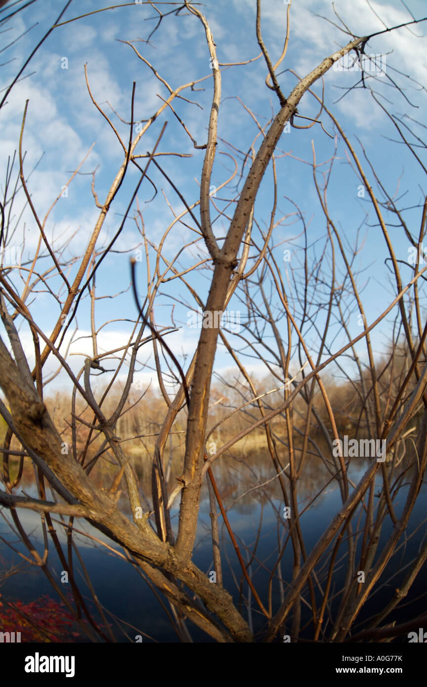 Monastery lake though the tree fisheye view Stock Photo - Alamy