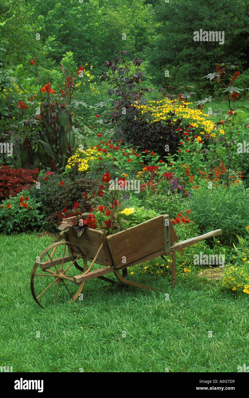 Antique wheelbarrow in flower garden of red colors, Missouri USA Stock ...
