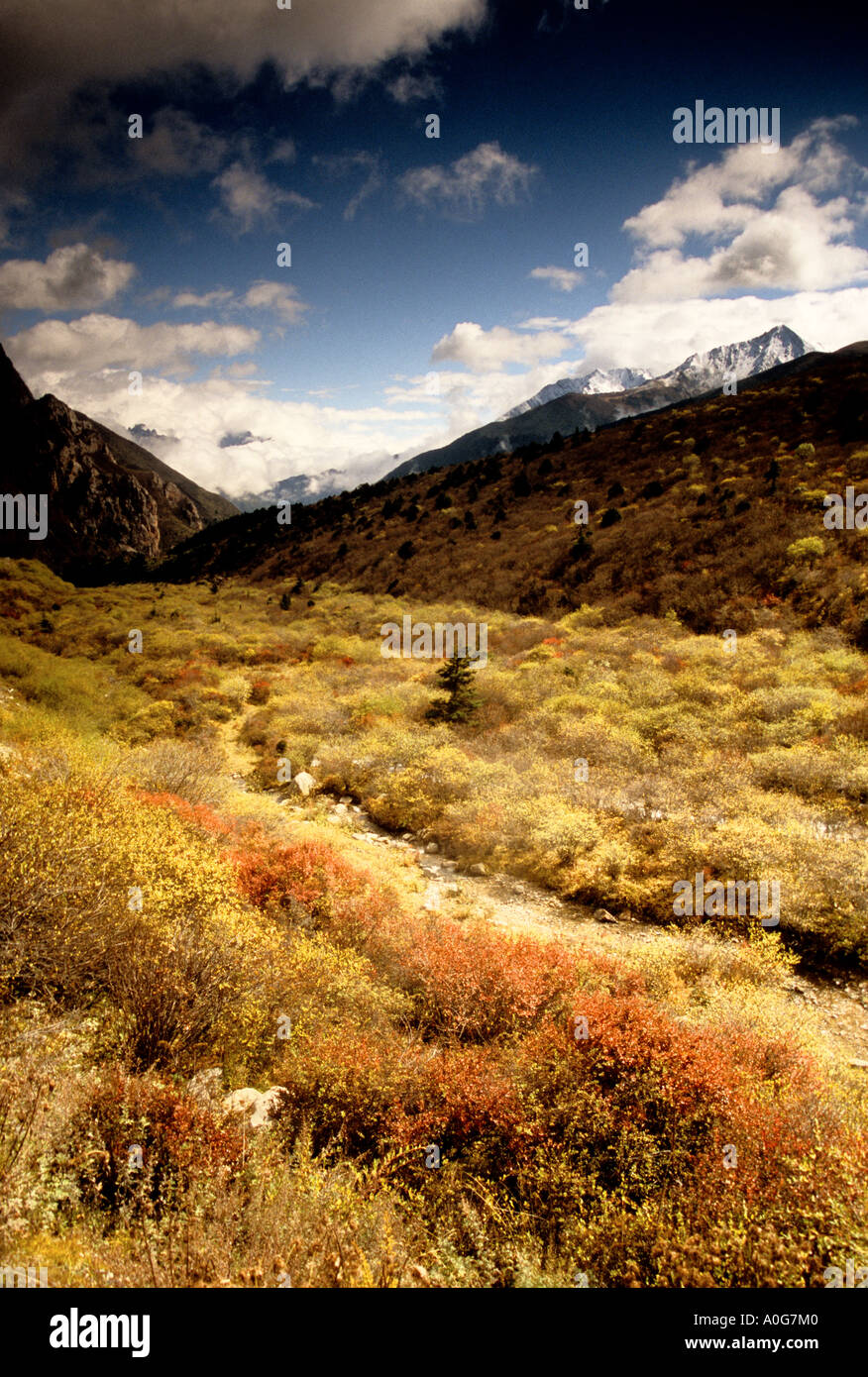 Sichuan, China - Autumn colors in a valley of the Minshan mountains of ...