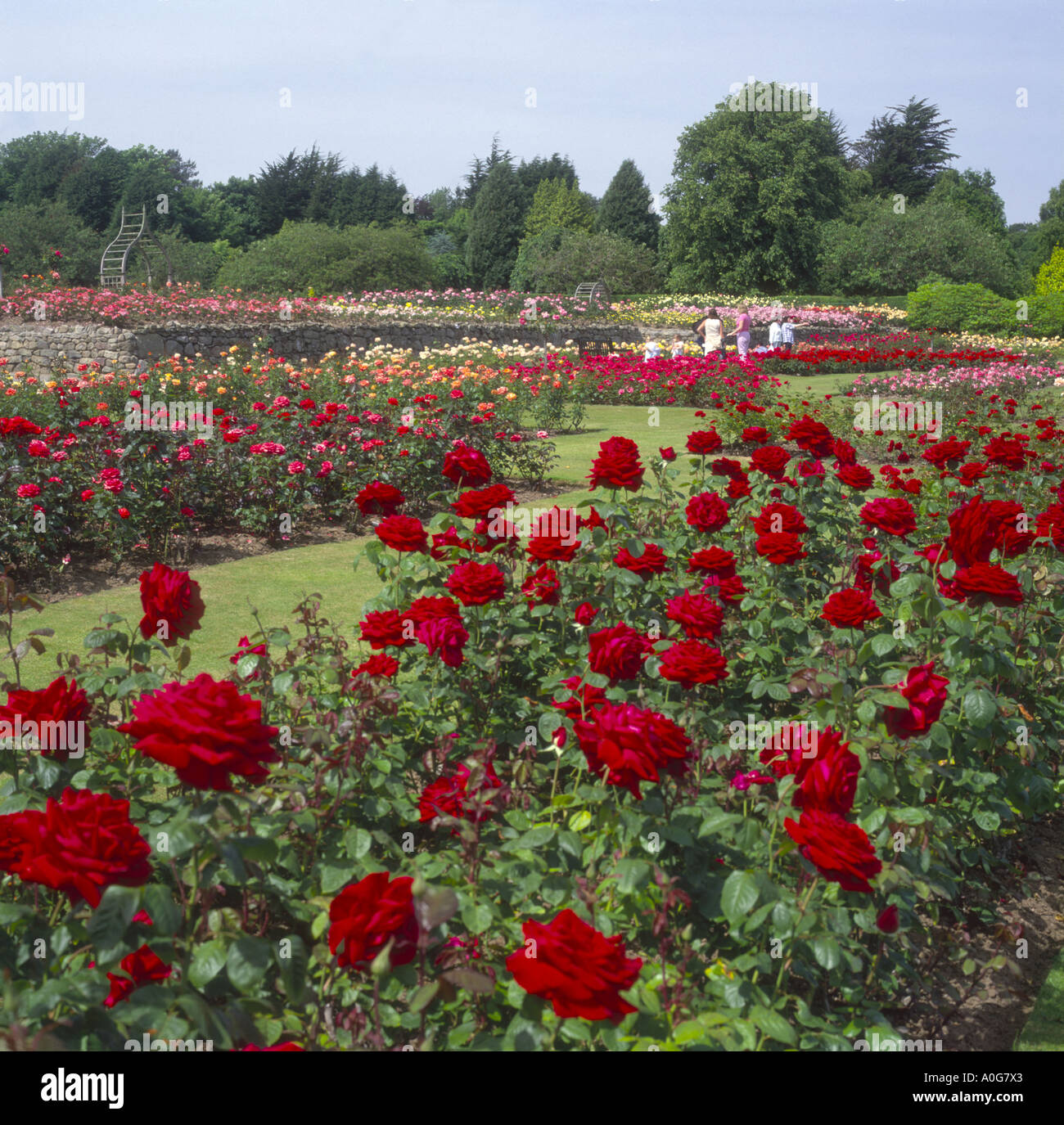 Piper alpha hi-res stock photography and images - Alamy