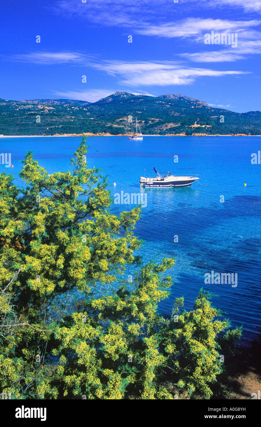 Bay of rondinara hi-res stock photography and images - Alamy