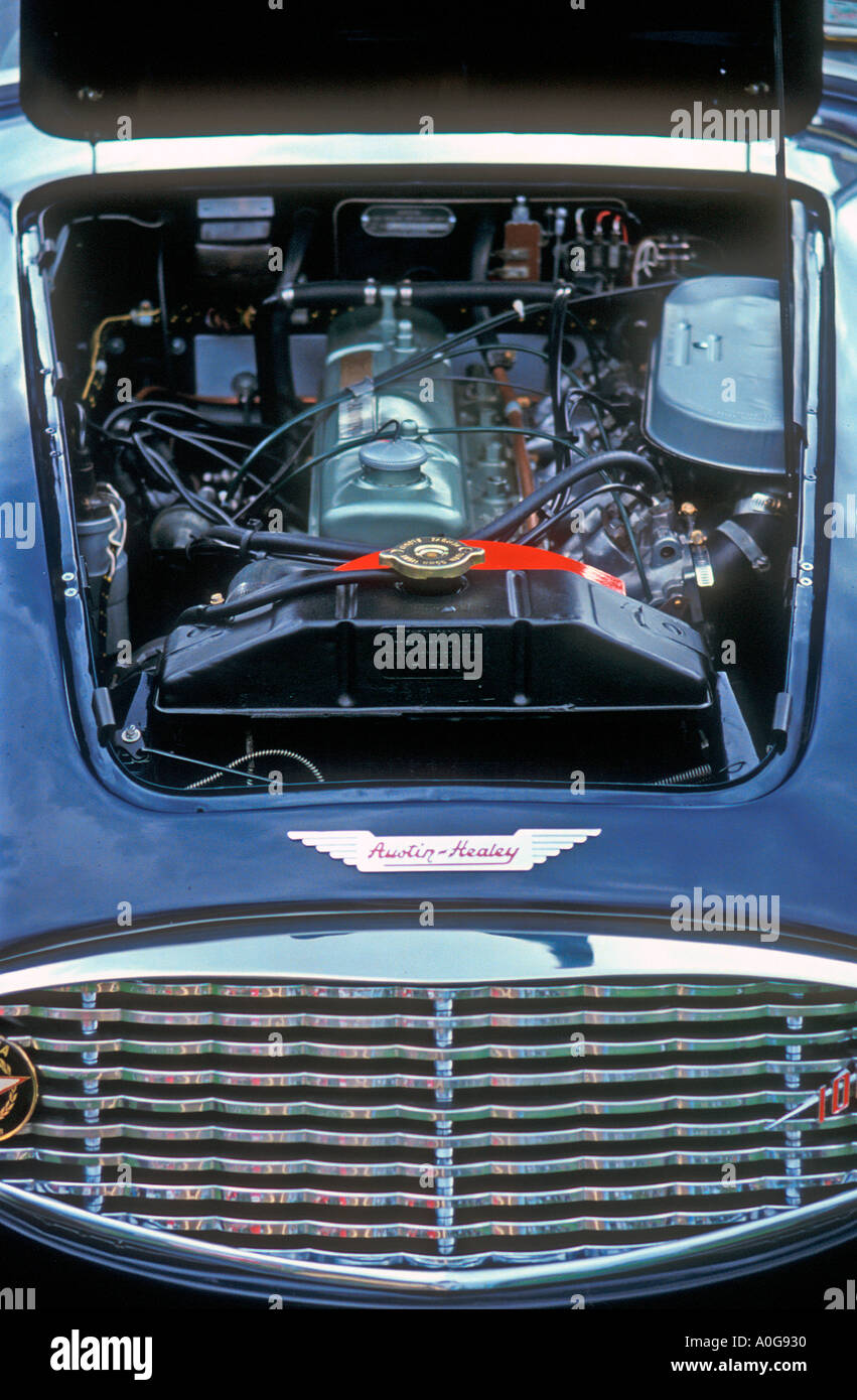 Austin Healey 100 engine bay Stock Photo - Alamy